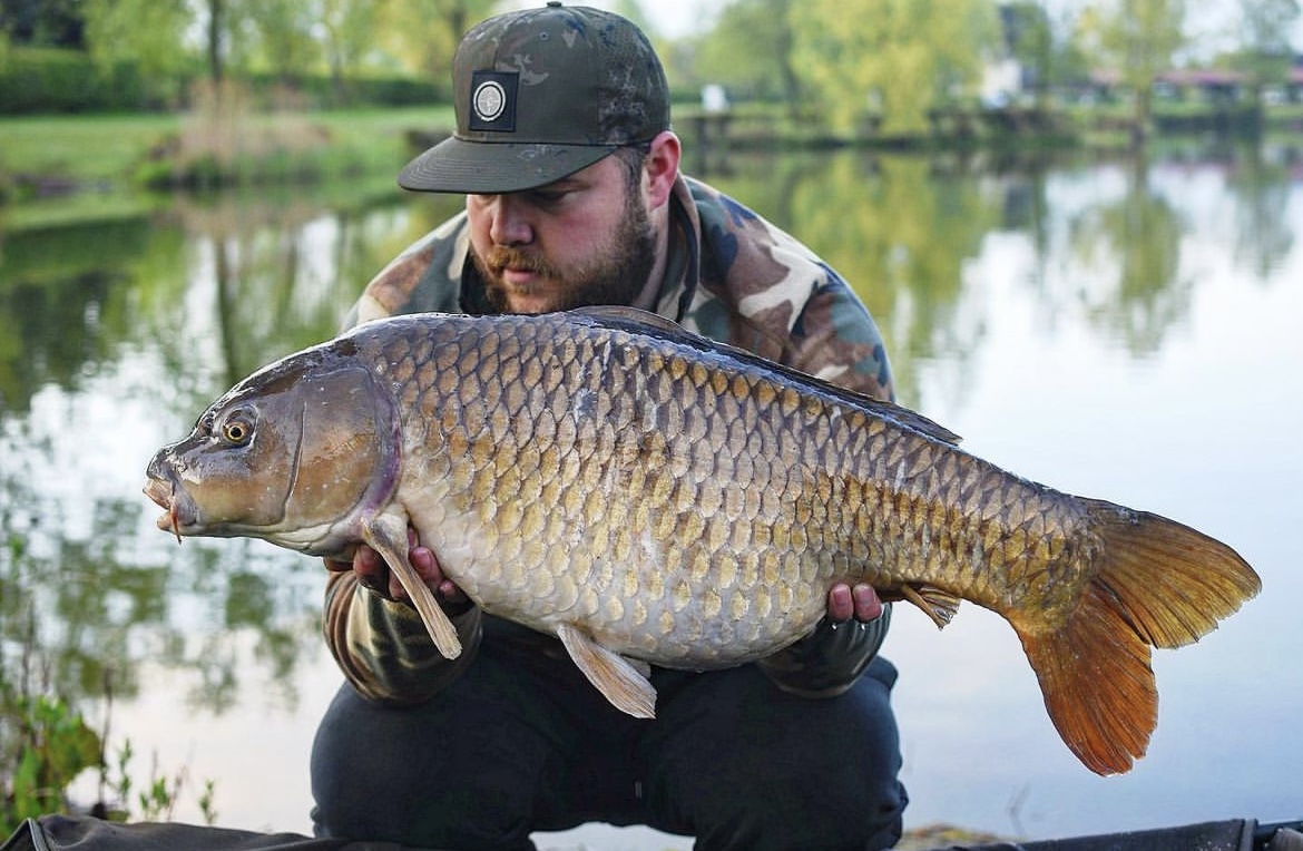 Chunky common | Total Carp